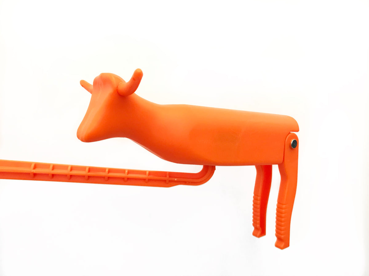 Bright Orange – Dash'n'Dally